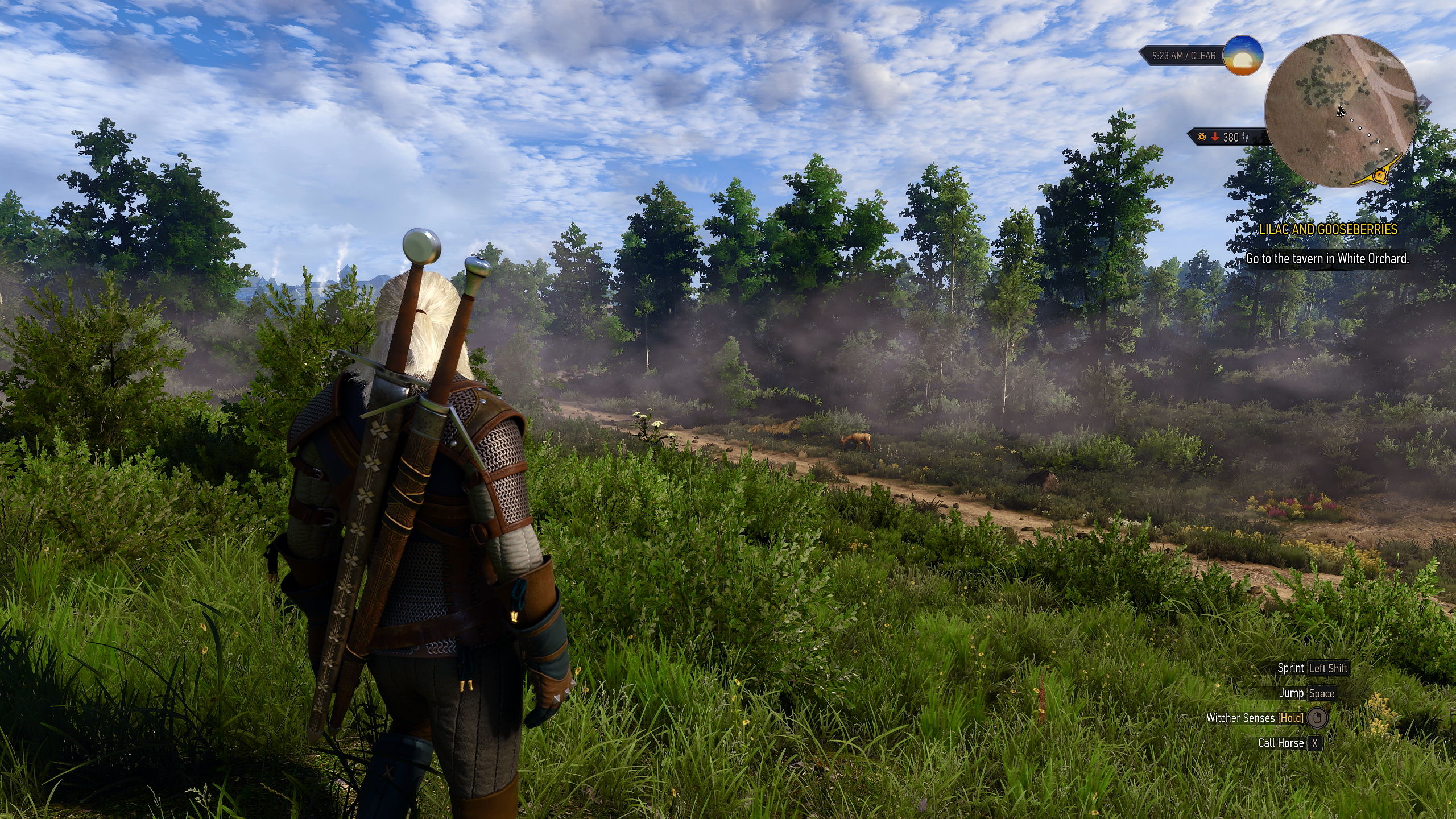 The Witcher 3 - Next-Gen - Enhancement Project